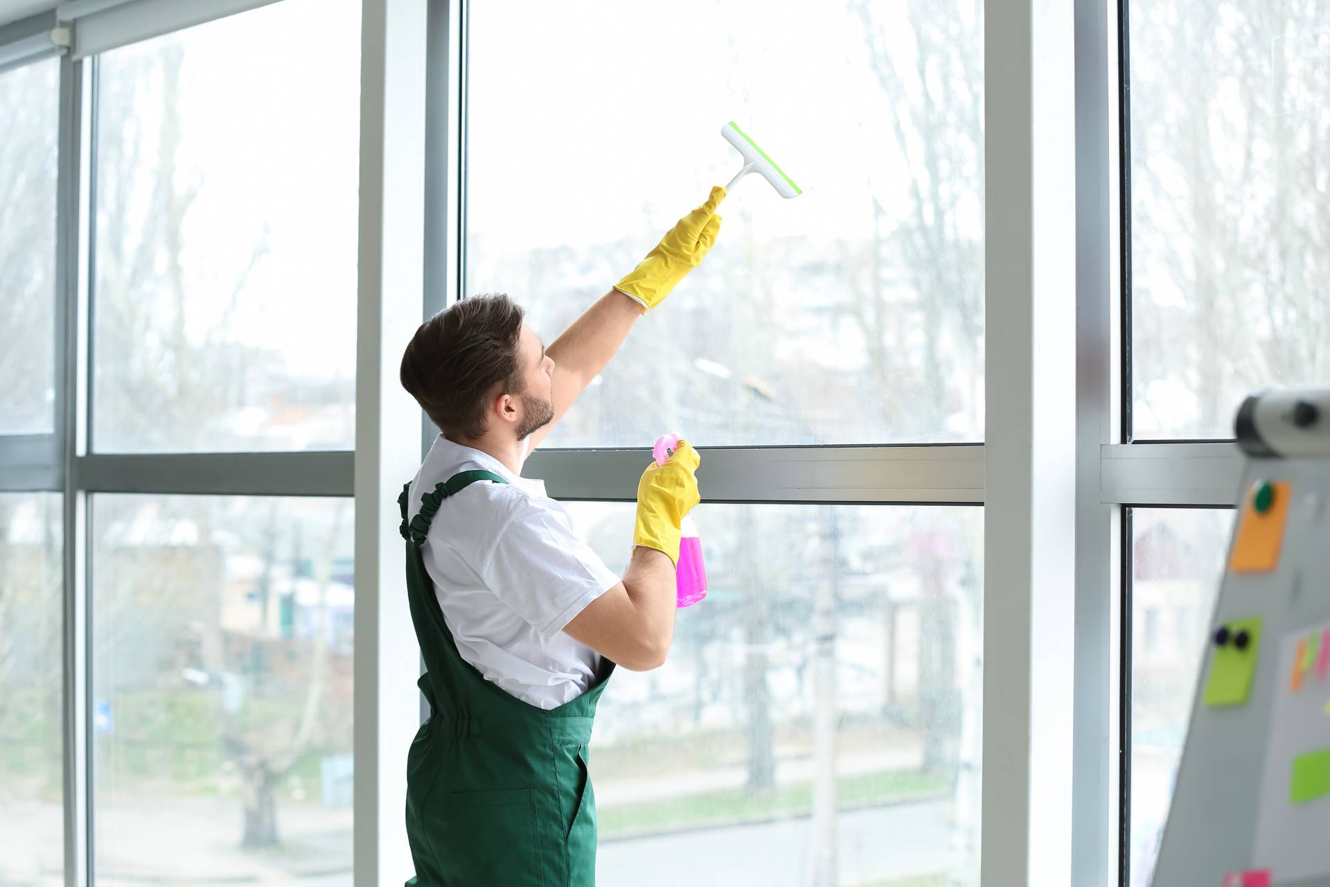 Top-Rated Window Cleaners | Flash Window Cleaning
